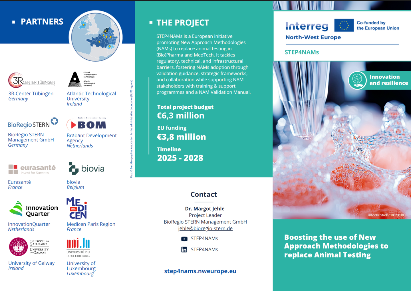 STEP4NAMs | BioRegio STERN | Wirtschaft weiterdenken